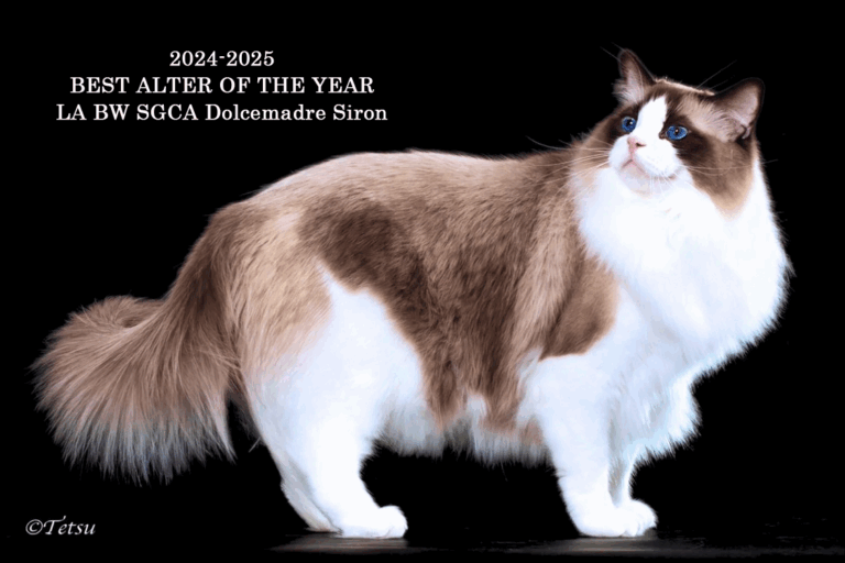 TICA Asia East Region