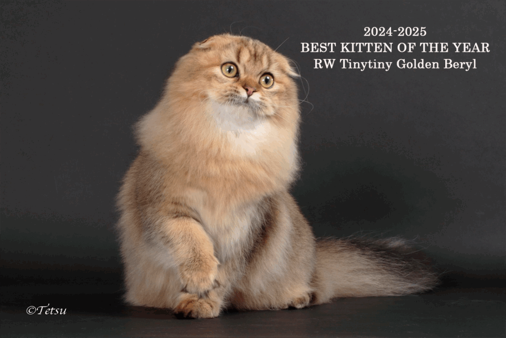 TICA Asia East Region